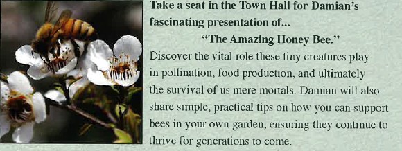 The Amazing Honey Bee » Shire of York