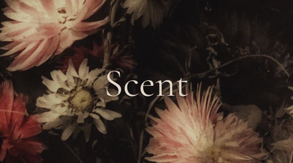 Events » Shire of York