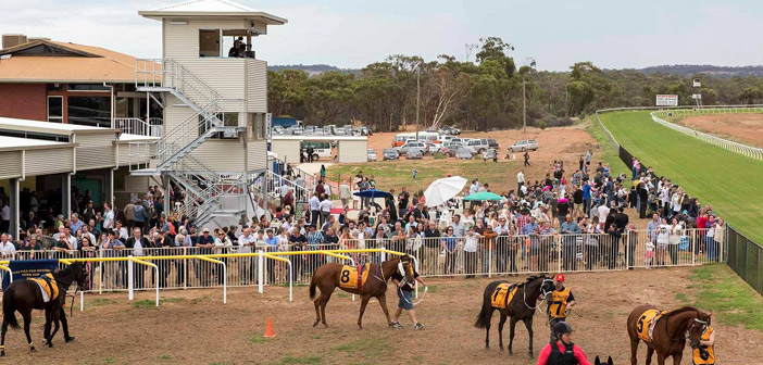 York Racing - The York Cup » Shire of York