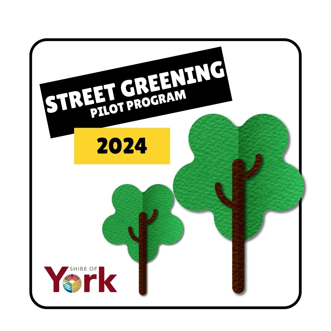 Street Greening Program » Shire of York