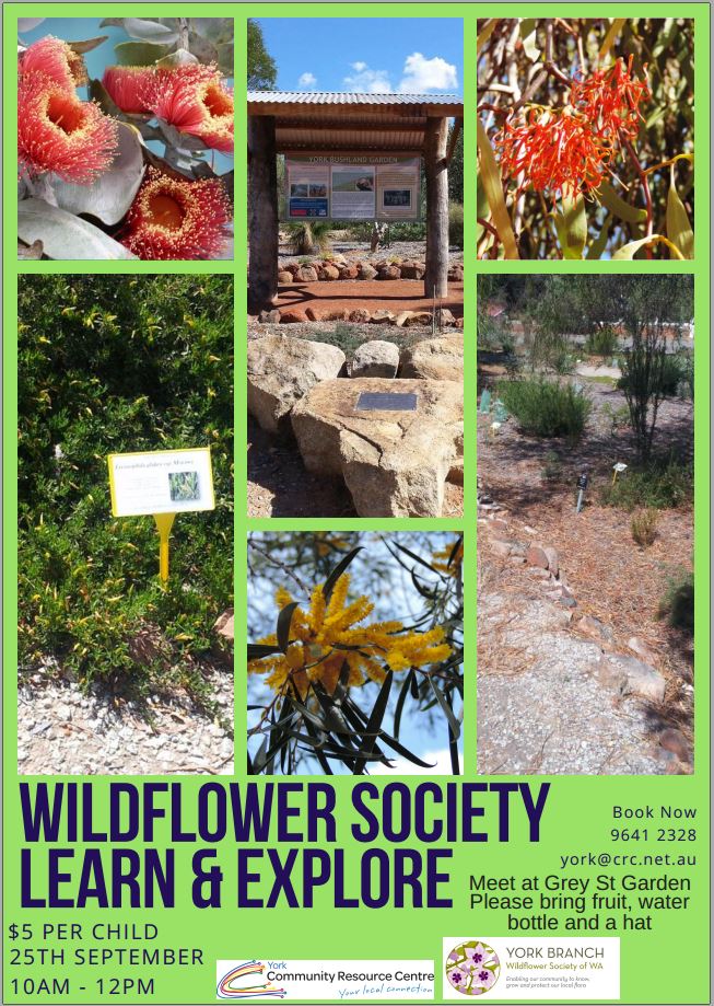 Wildflower Society - Learn & Explore » Shire of York